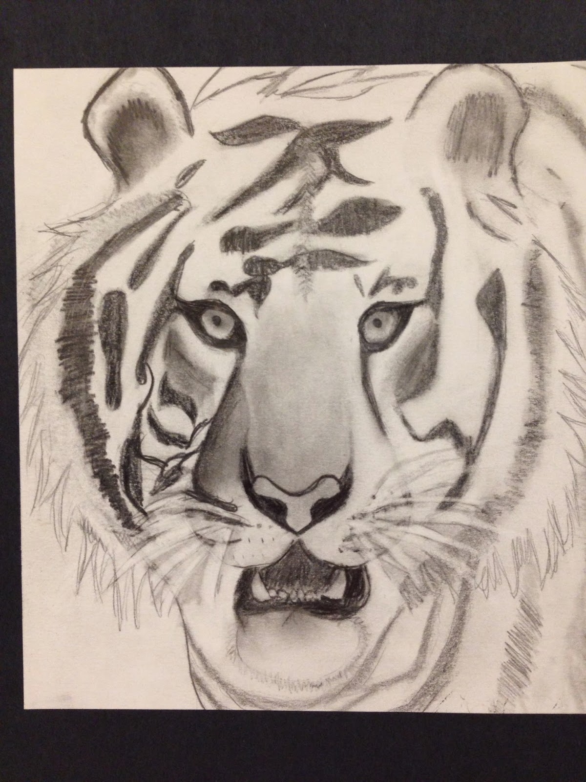 Art Alley: Drawing Rendering: 7th Graders Learn to See