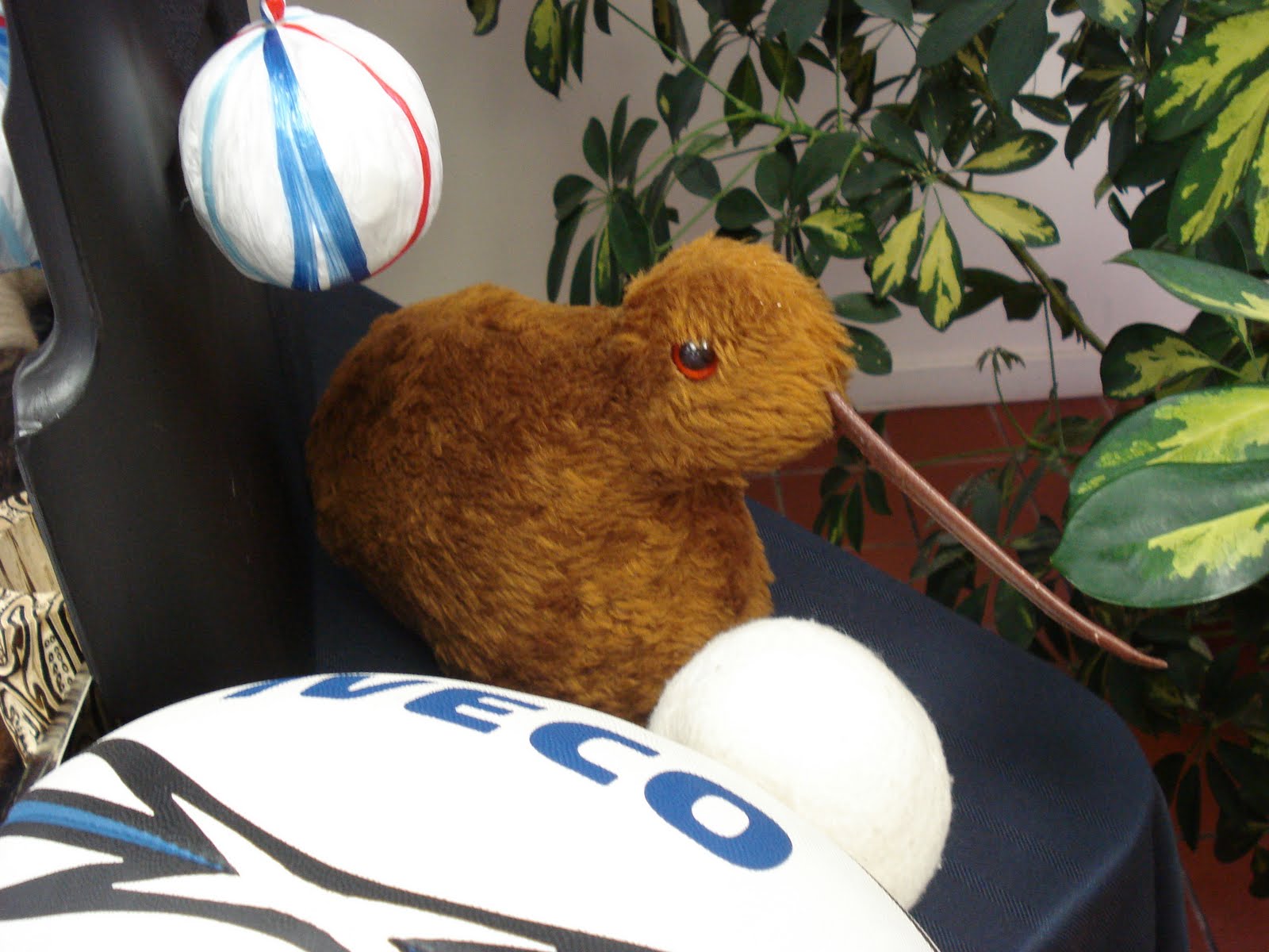 A Moment Of Charity: Comstock Family: New Zealand