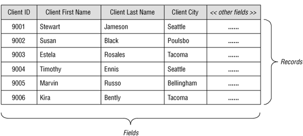 Database Design Notes: Terminology
