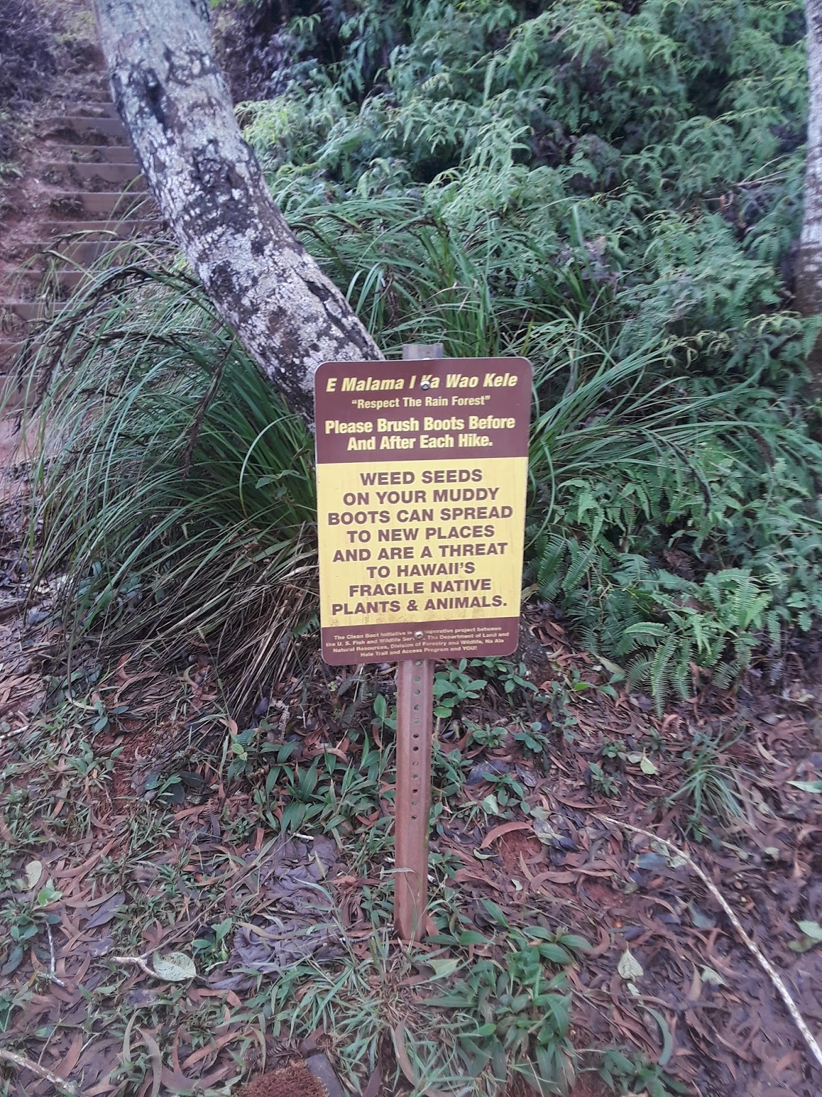 Elder Logan Porter: April 2018