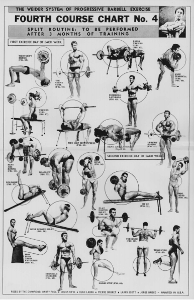 Old School Bodybuilding Charts. Compiled by Veeraj Goyaram ...