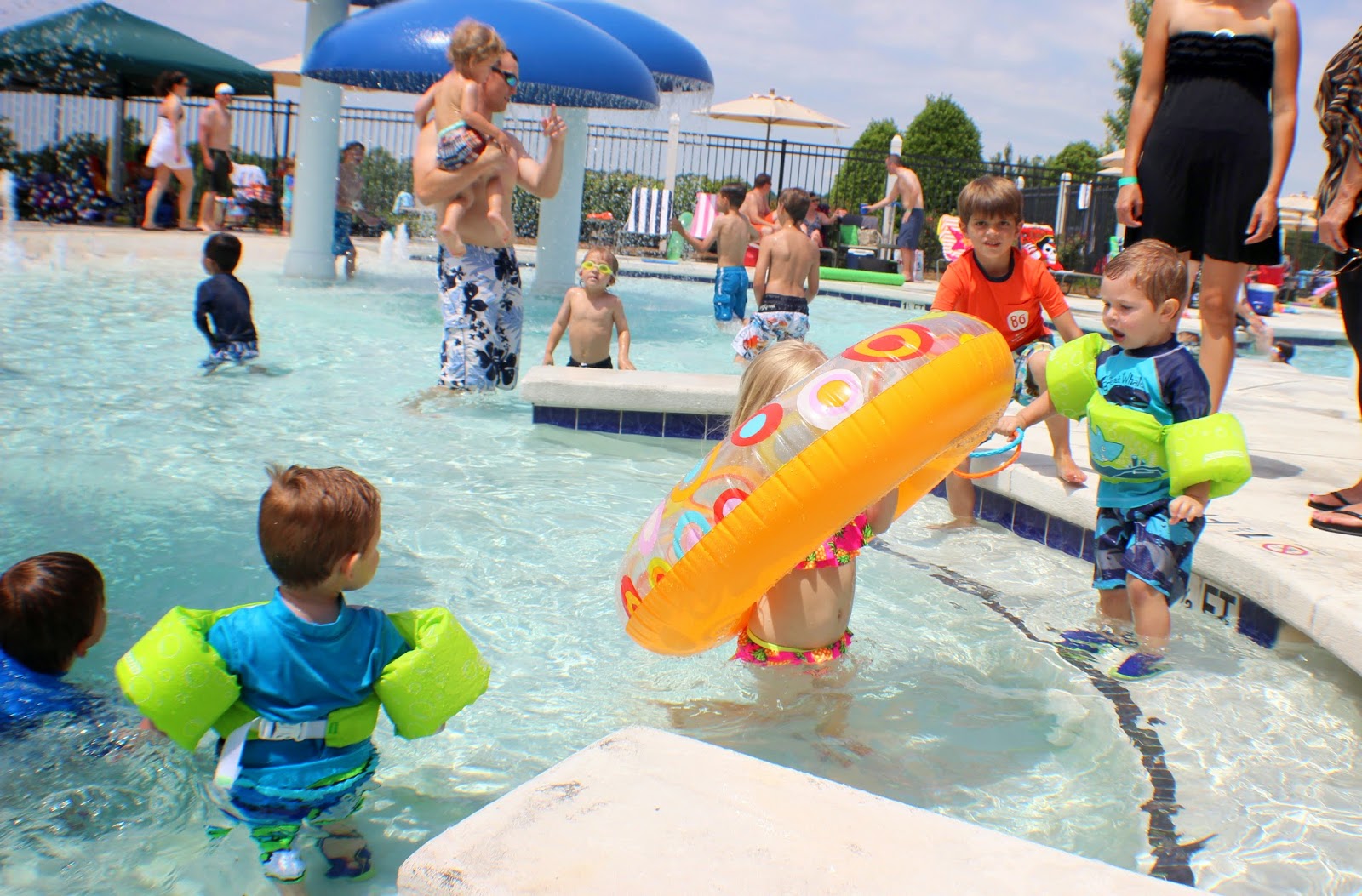 Snake & Snails, Sugar & Spice..The Galbraith Tales: BridgeMill Pool ...