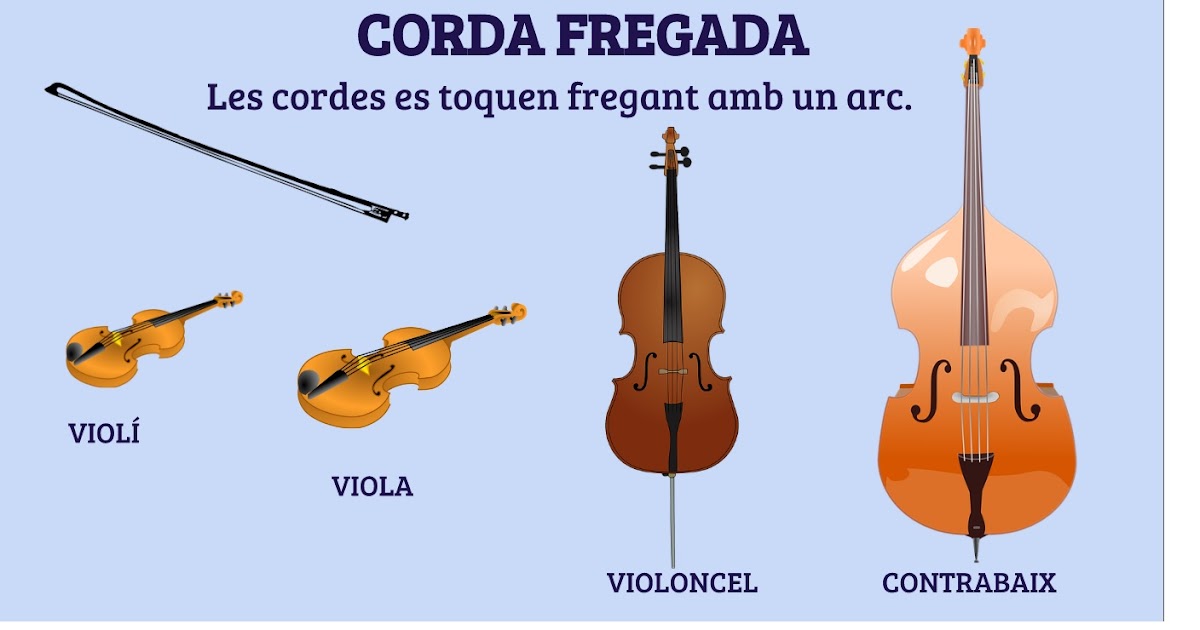 Nomes De Instrumentos De Corda - RETOEDU