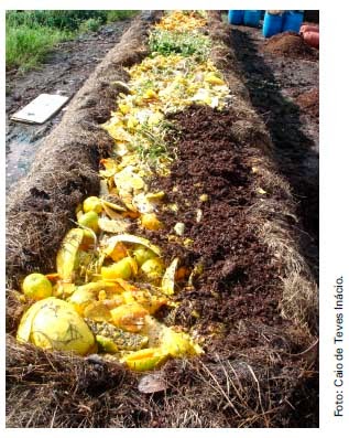 COMPOSTAGEM