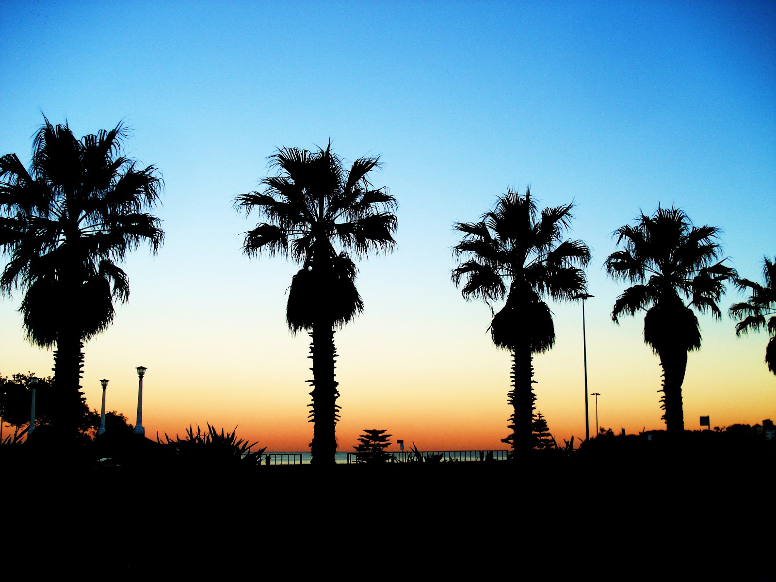 Robyn Holmyard: Printed Textiles Design