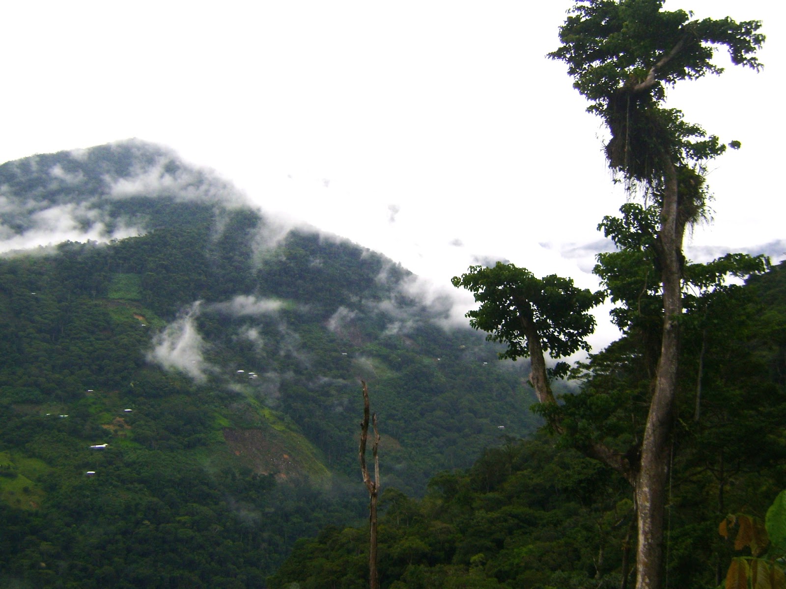LA PROVINCIA DE HUALLAGA.: Razgos del relieve de la cuenca del río ...