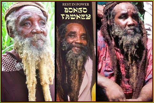 HAILE SELASSIE & RASTAFARI: HOMAGE TO THE ANCIENT RASTA Pt. 6