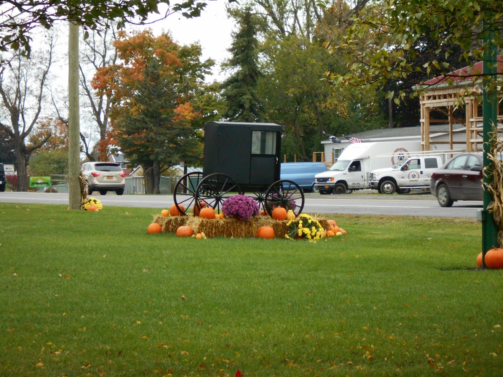 New York State of Mind: BLACK BUGGY BULK FOODS, CANANDAIGUA, NY