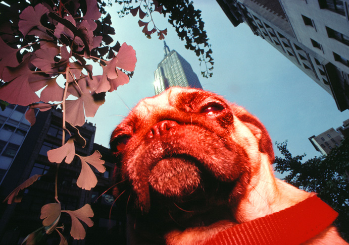 Night Photography blog by Andy Frazer