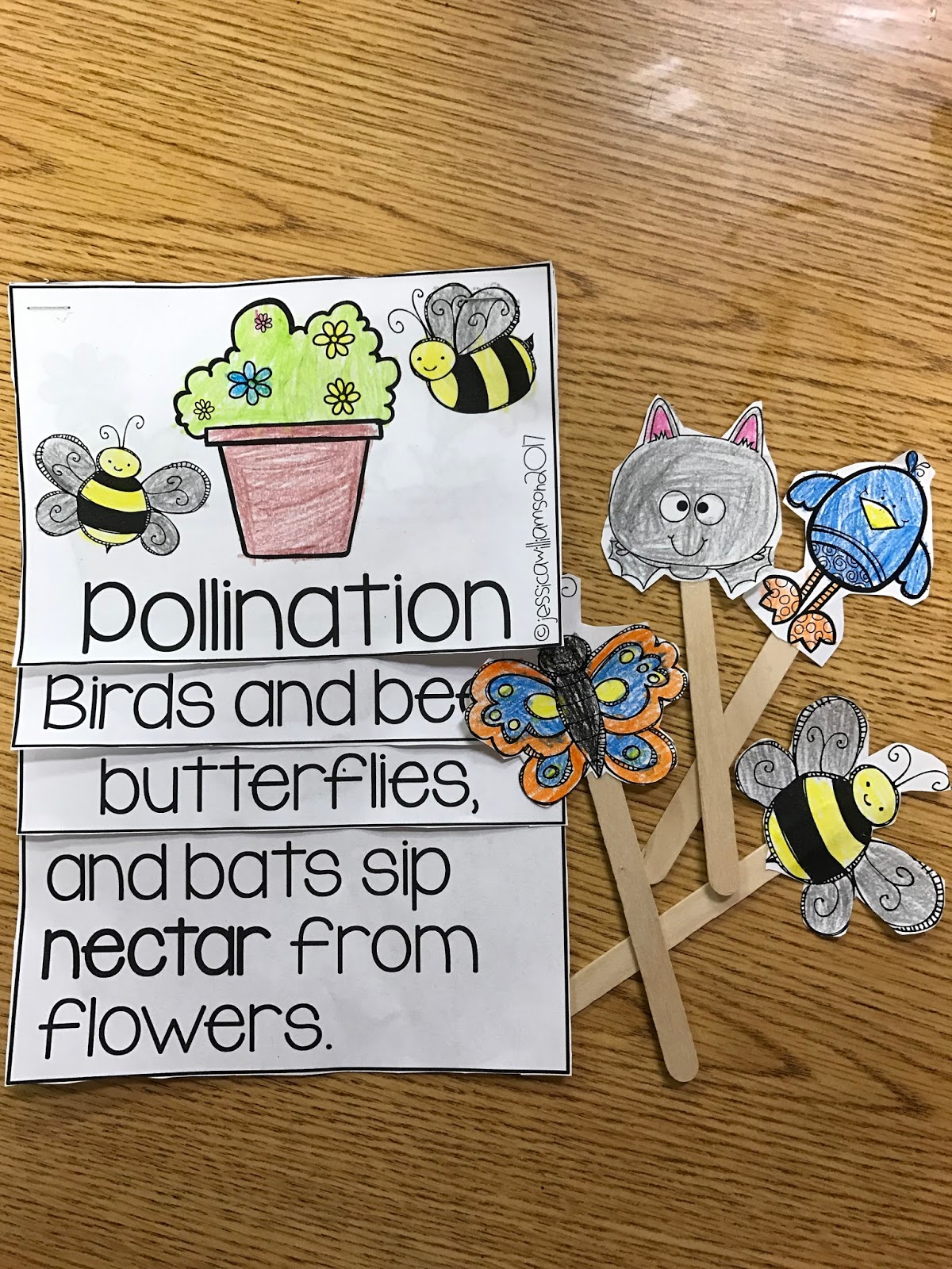 Welcome to Room 36!: all about plants!