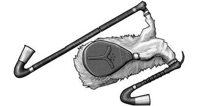 World musical instruments: Gajdy