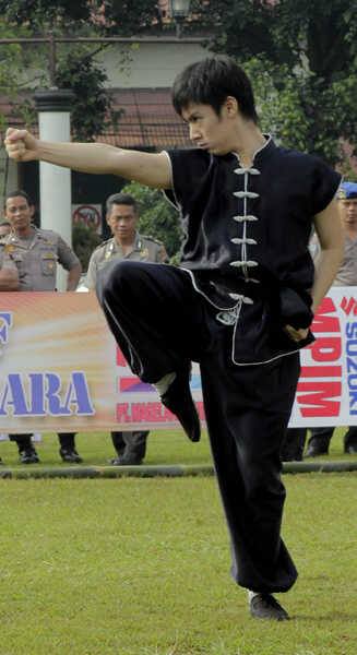 Sekantung Pelangi: Southern Fist : Nan Quan ( 南拳 )