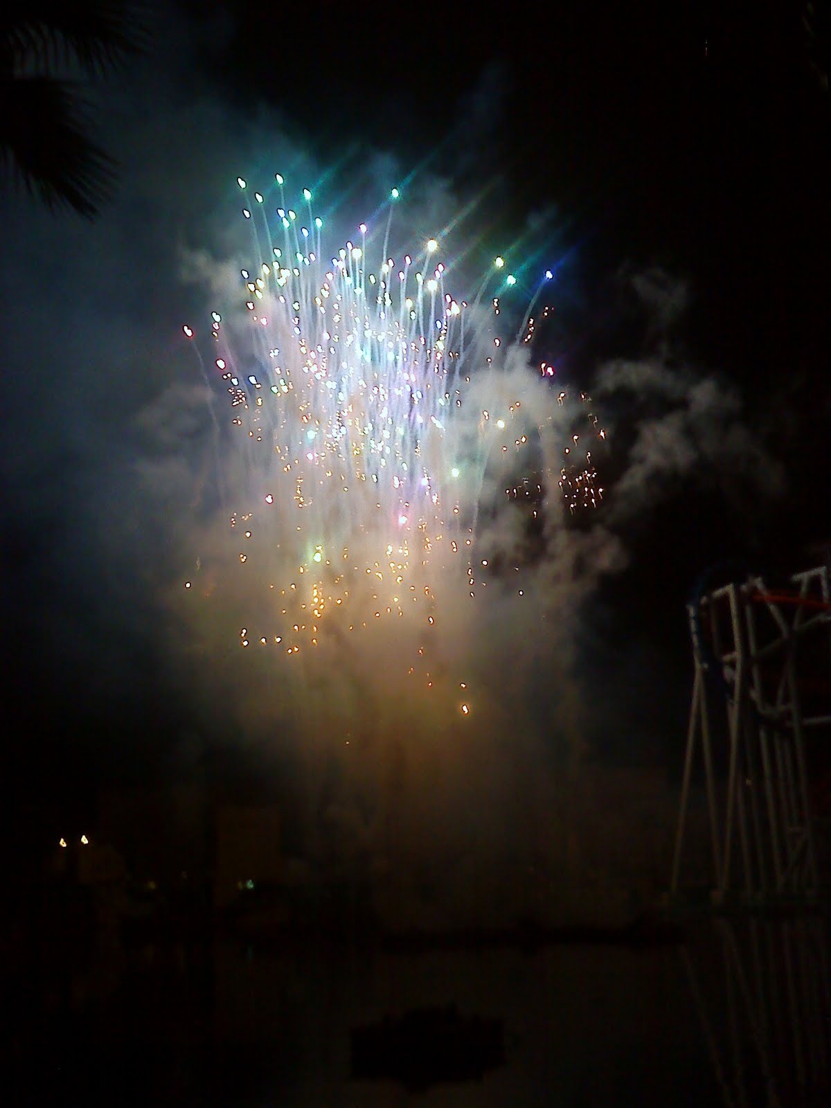 Lychees From Leechie: Lights, Camera, Action!!!