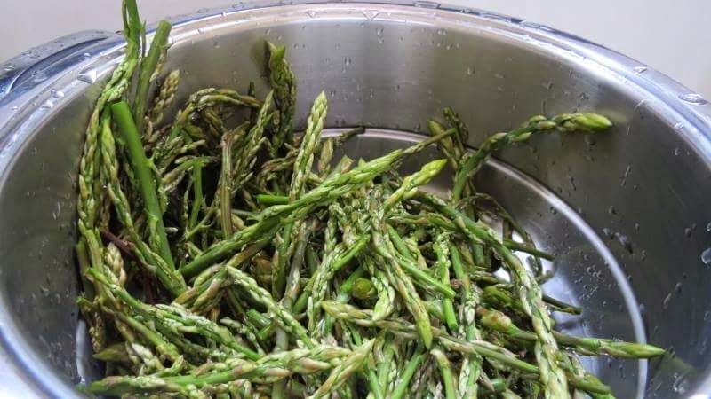 Divlja šparoga: Recepti s divljim šparogama