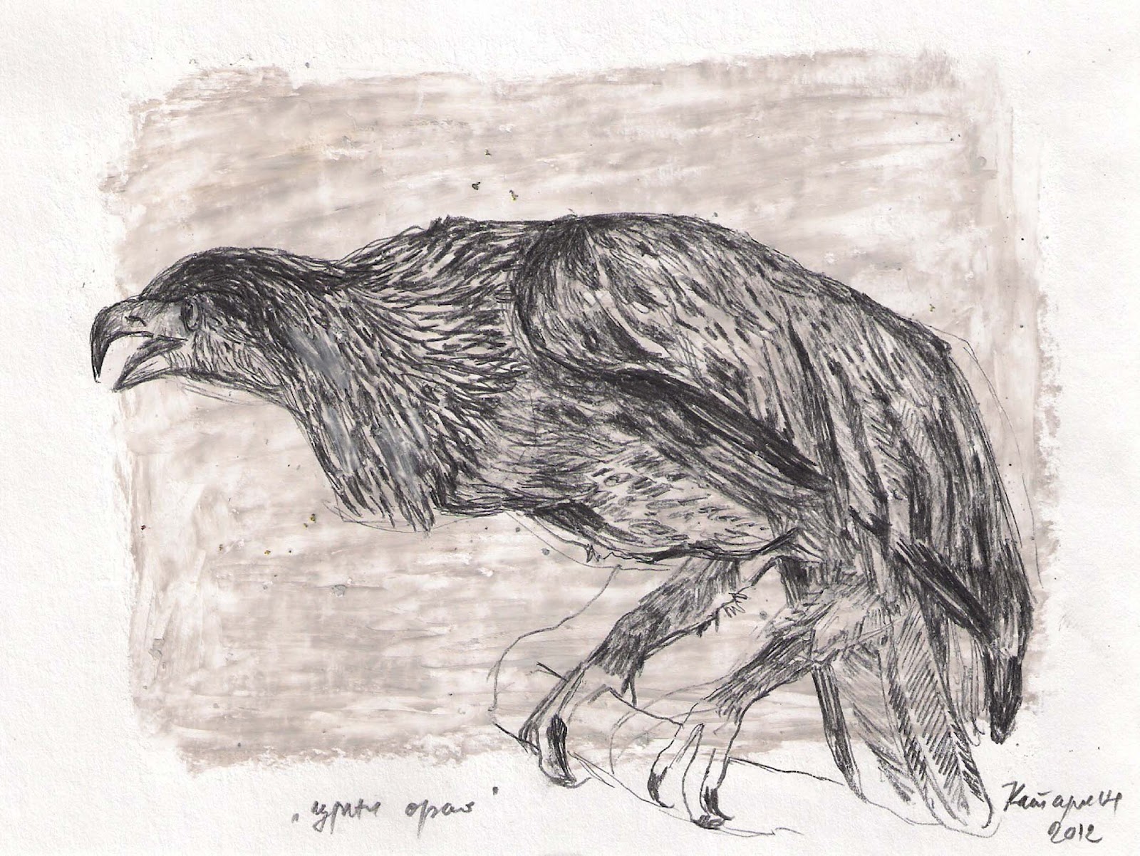 Novi crteži (New drawings)