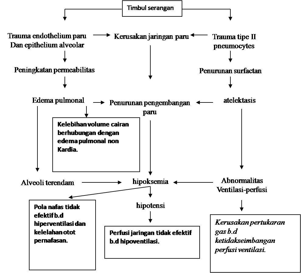 Catatan kecil: Keperawatan gawat darurat : pathway ARDS