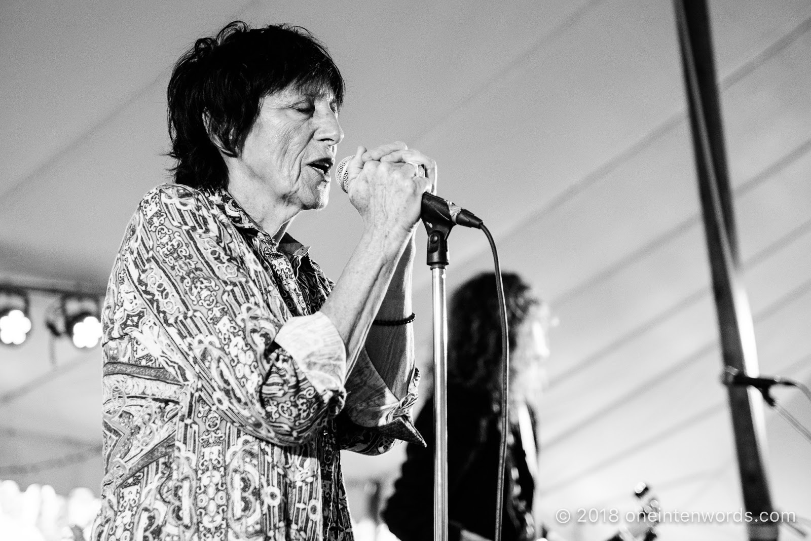 one in ten words: Riverfest Elora 2018: Day 3: Carole Pope (Rough Trade ...