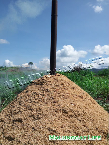 Moringa Farm / MalunggayLife Agri Farm Philippines: How to Make ...