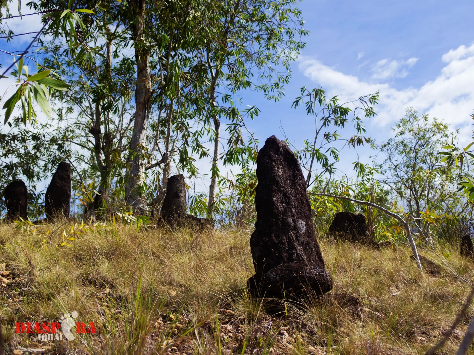 Menelisik Situs Megalitik Tutari - DIASPORA IQBAL