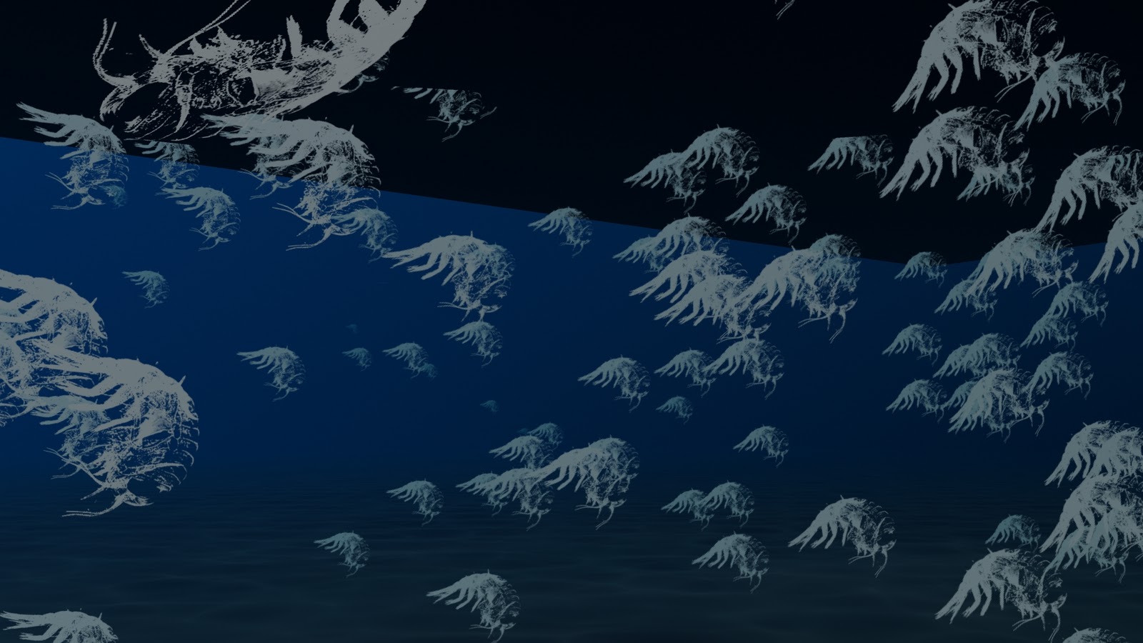 Digital Environment: Plankton Particles