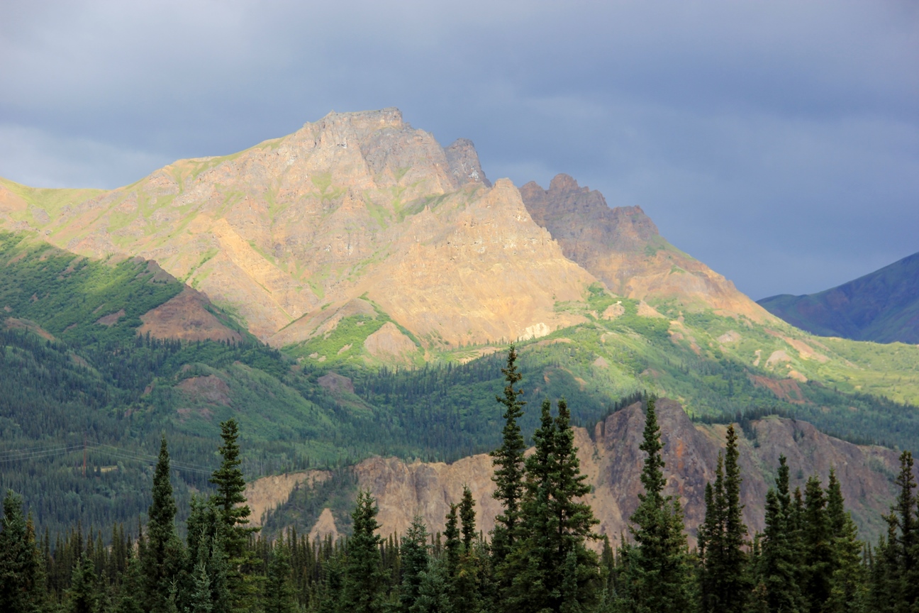 Joy of Discovery: Toklat, Denali National Park