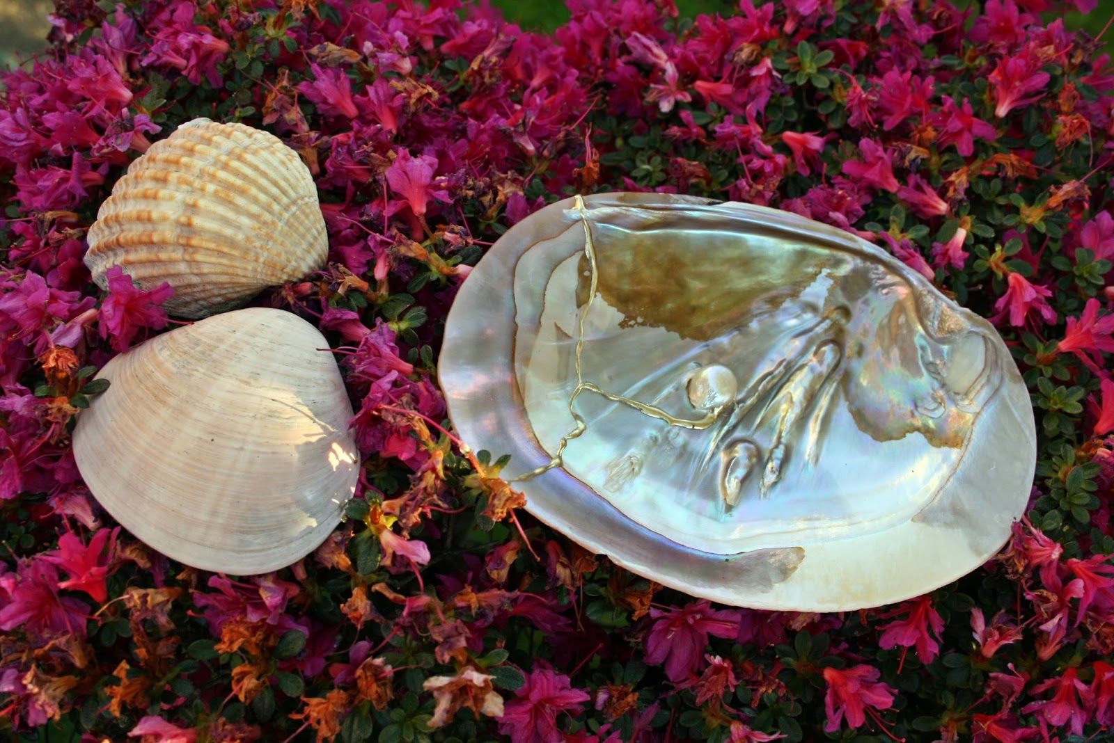 AT THE BOTTOM OF THE SEA...