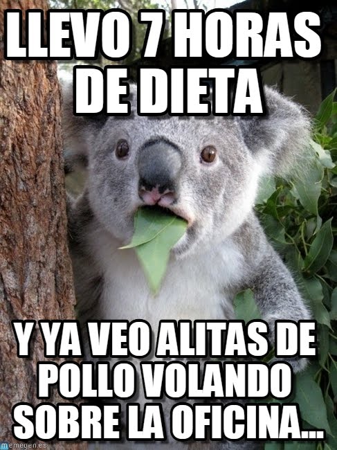 El Rincón Del Sano: Divertidos memes sobre la dieta