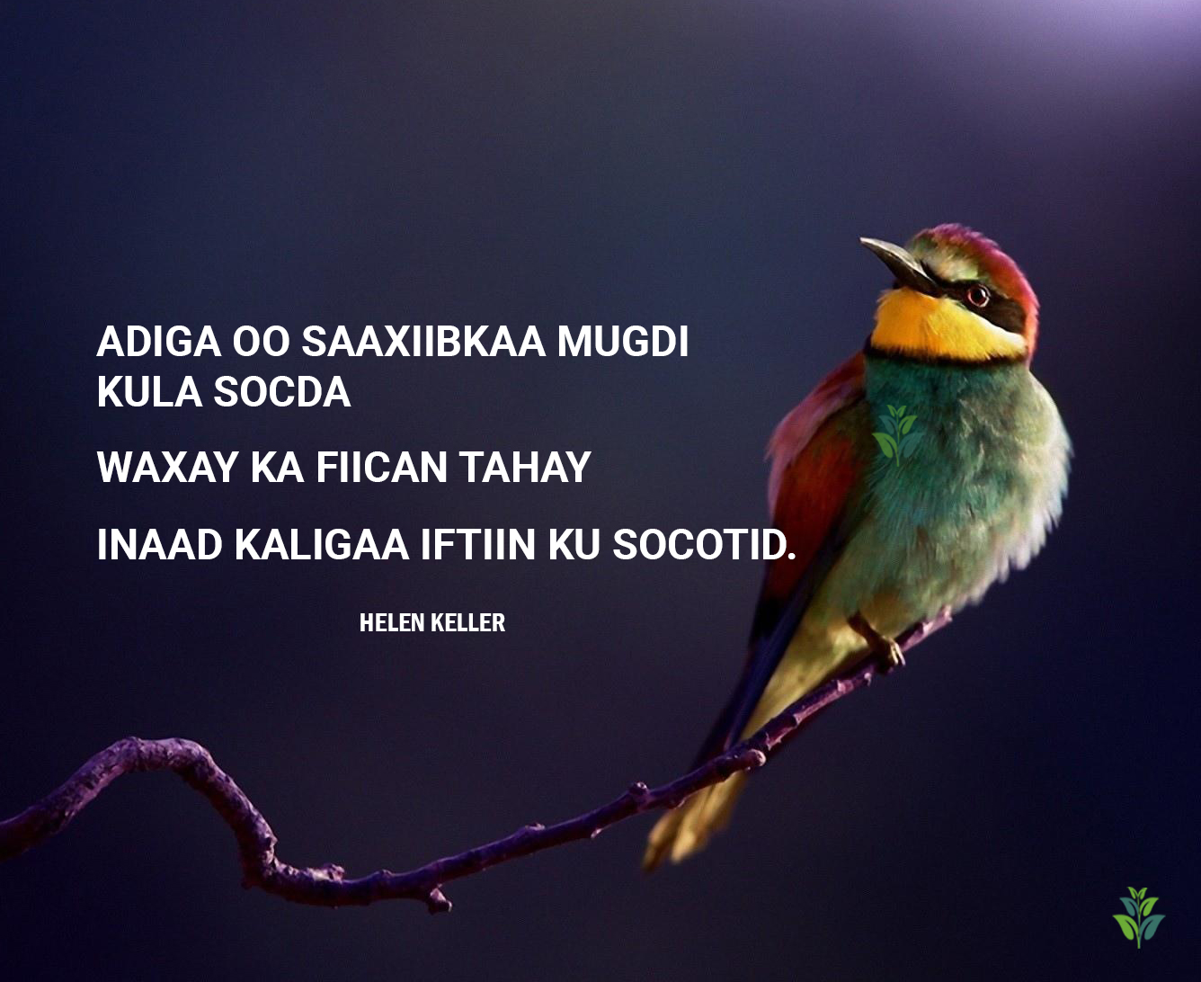 Xikmad Saaxiibka ku saabsan | Xikmado