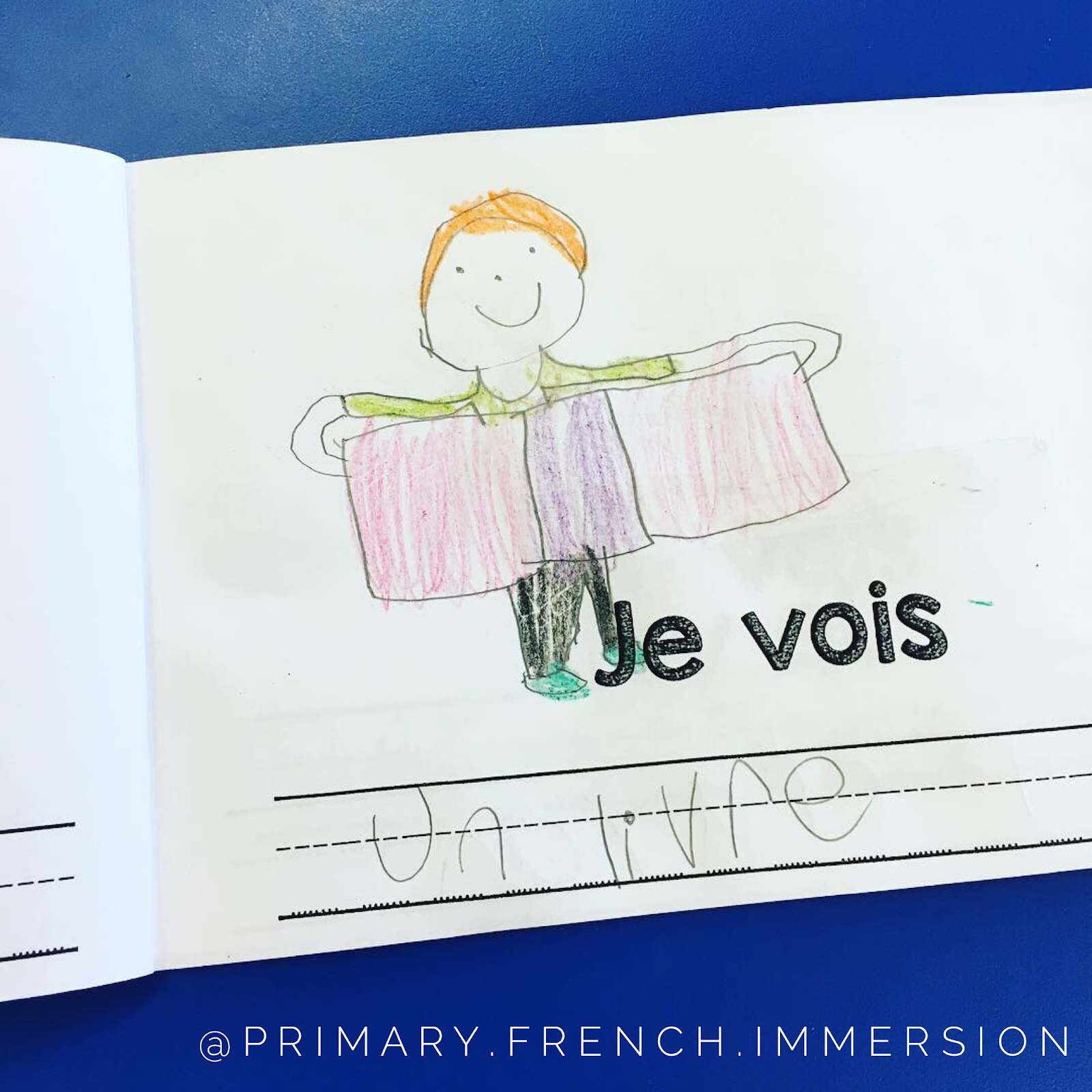 Primary French Immersion Resources