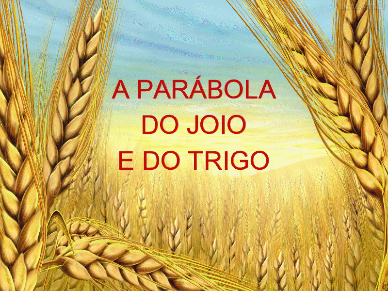 O Que Significa Joio Na Bíblia - LIBRAIN