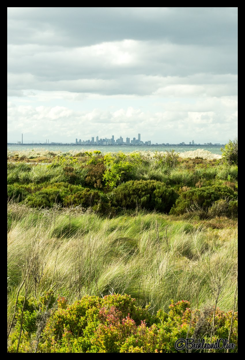 Friable path: Point Cooke and Cheetham Wetlands, Werribee, Victoria