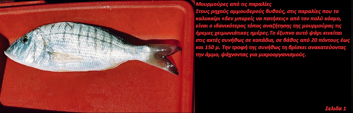 Μουρμουρες απο την ακτη