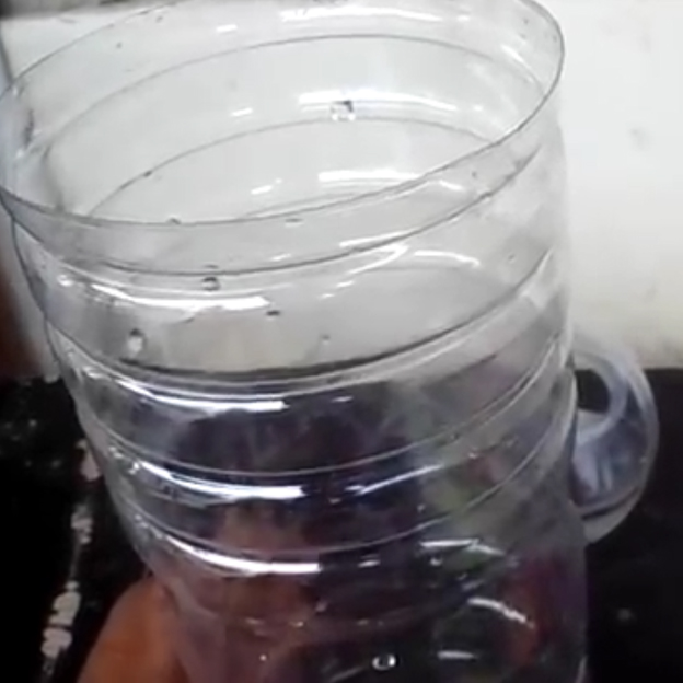 Cara Jitu: Membuat PERANGKAP LALAT BUAH Hanya Dengan Botol Bekas - Tips ...