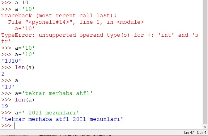 Python: Temel Kavramlar
