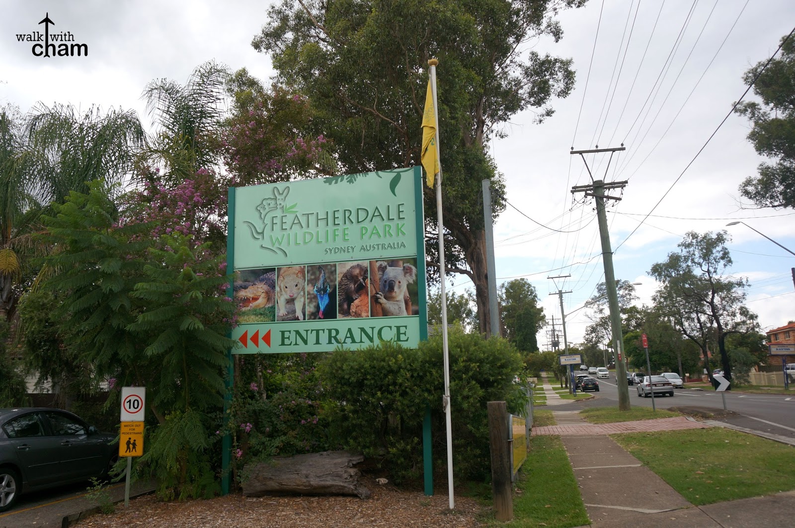 Walk with Cham: Featherdale Wildlife Park Sydney Australia