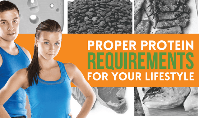 Proper Protein Requirements for Your Lifestyle #infographic - Visualistan