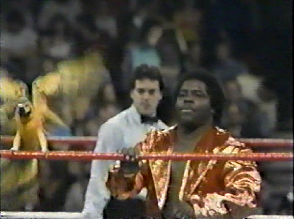 WWF Primetime 3-14-1988