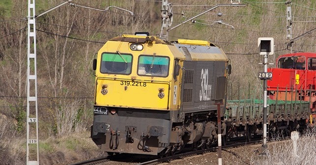 Rails sense fronteres: Locomotores dièsel, sèrie 319.2 de Renfe