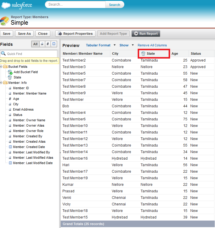 What is the use of bucket field in Reports in Salesforce ...