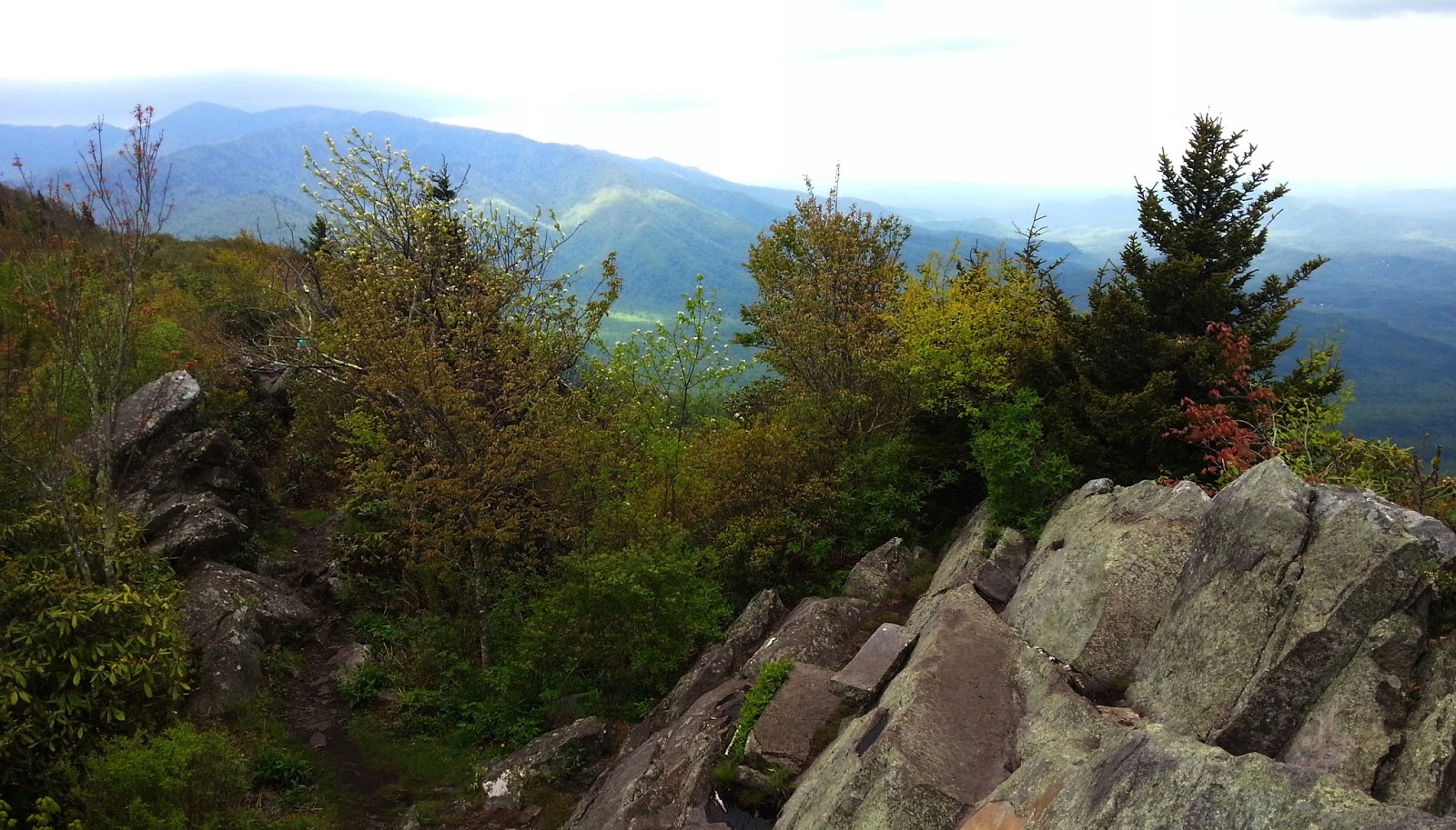 Smoky Scout's Hiking Adventures: Smokies 900 Round 2: Mount Cammerer ...