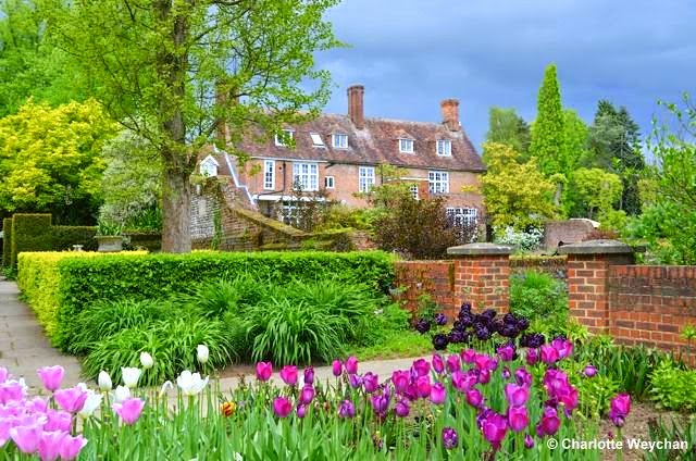 Great Comp - a spectacular plantsman's garden in Kent