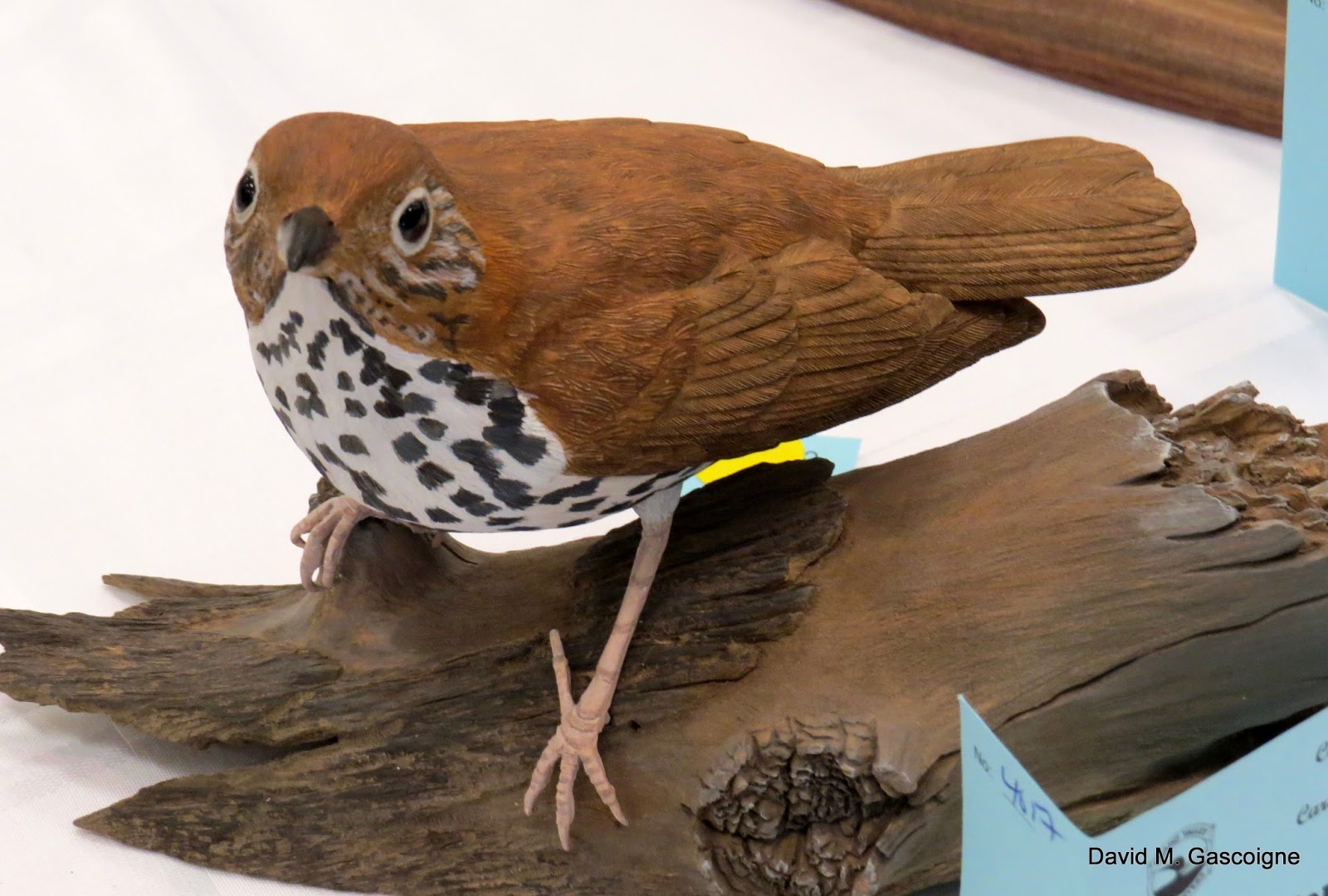 Canadian National Wildfowl Carving Championship - Travels With Birds