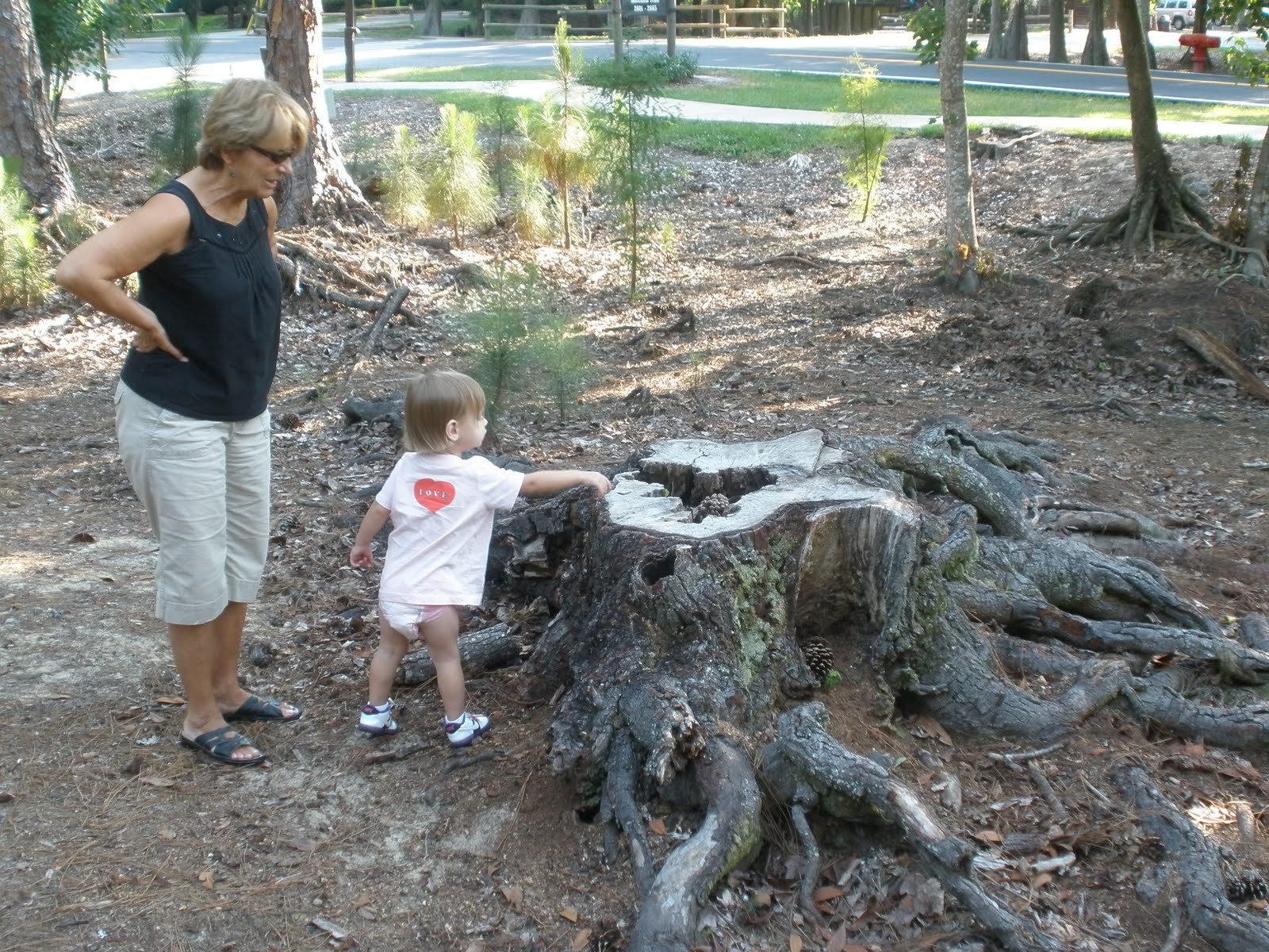 The Adventures of Meg, Ryan and Baby Bogey