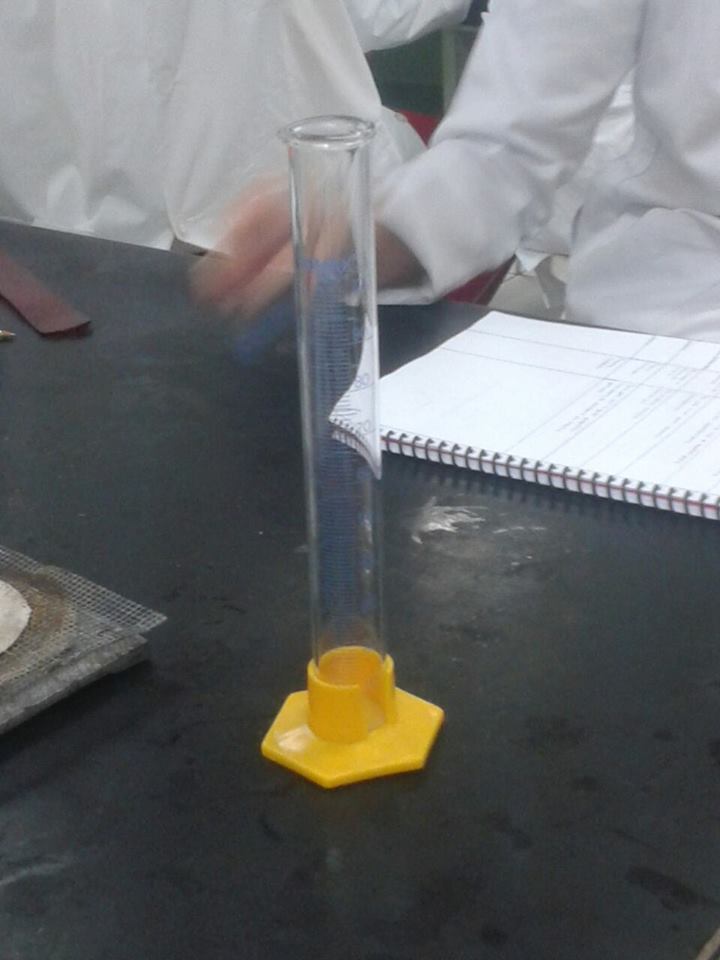 Gabriela 3F química