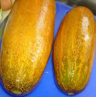 Hickery Holler Farm: Fermenting Seeds