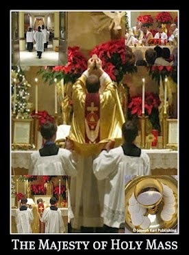 southern orders: SIGNS OF REVERENCE IN THE EF MASS NOW LOST IN THE OF MASS