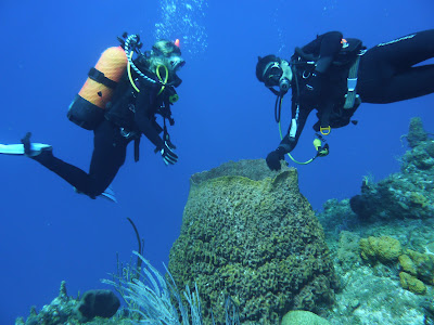Blog del velero Sirocodiez: Guia de Navegación por las Bahamas y Fotos