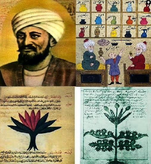 "ALQUIMYA DA CURA" : "CURE A SI MESMO" - As Ervas - Plantas - Vegetais ...