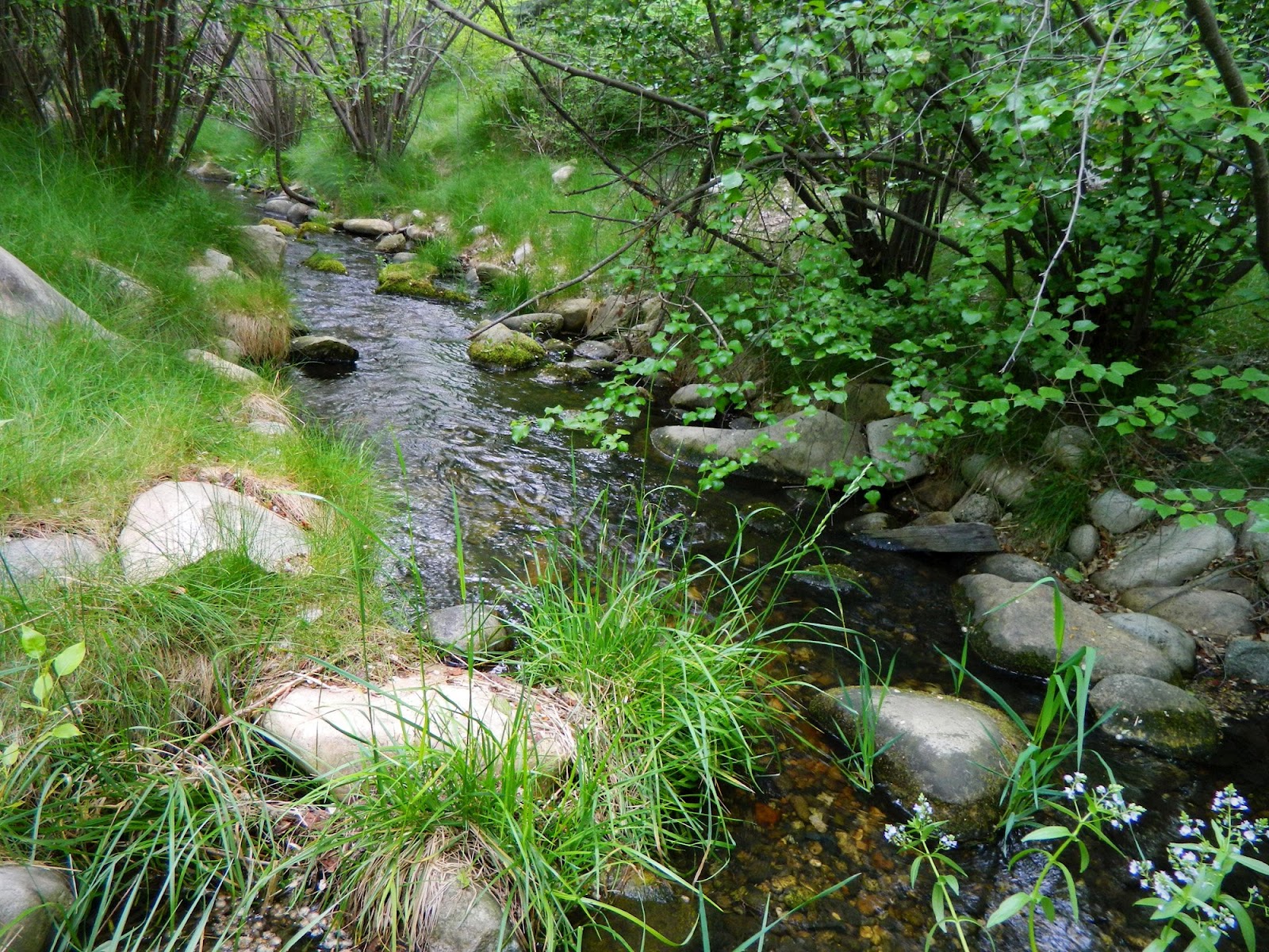 Living in Idaho: MK Nature Center