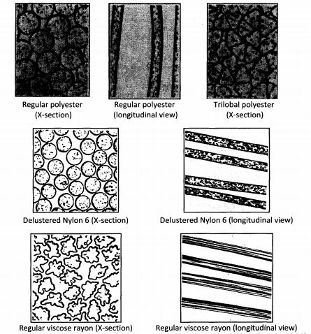 Nazmuljoss: TEXTILE FIBRES-Fibre Identification (Light Microscopy Test ...